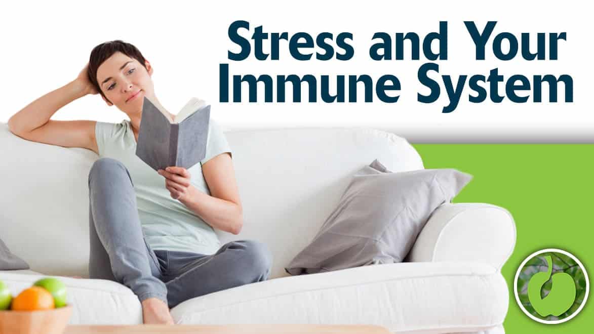 Stress Hormones and Your Immune System - Green Apple Health Care